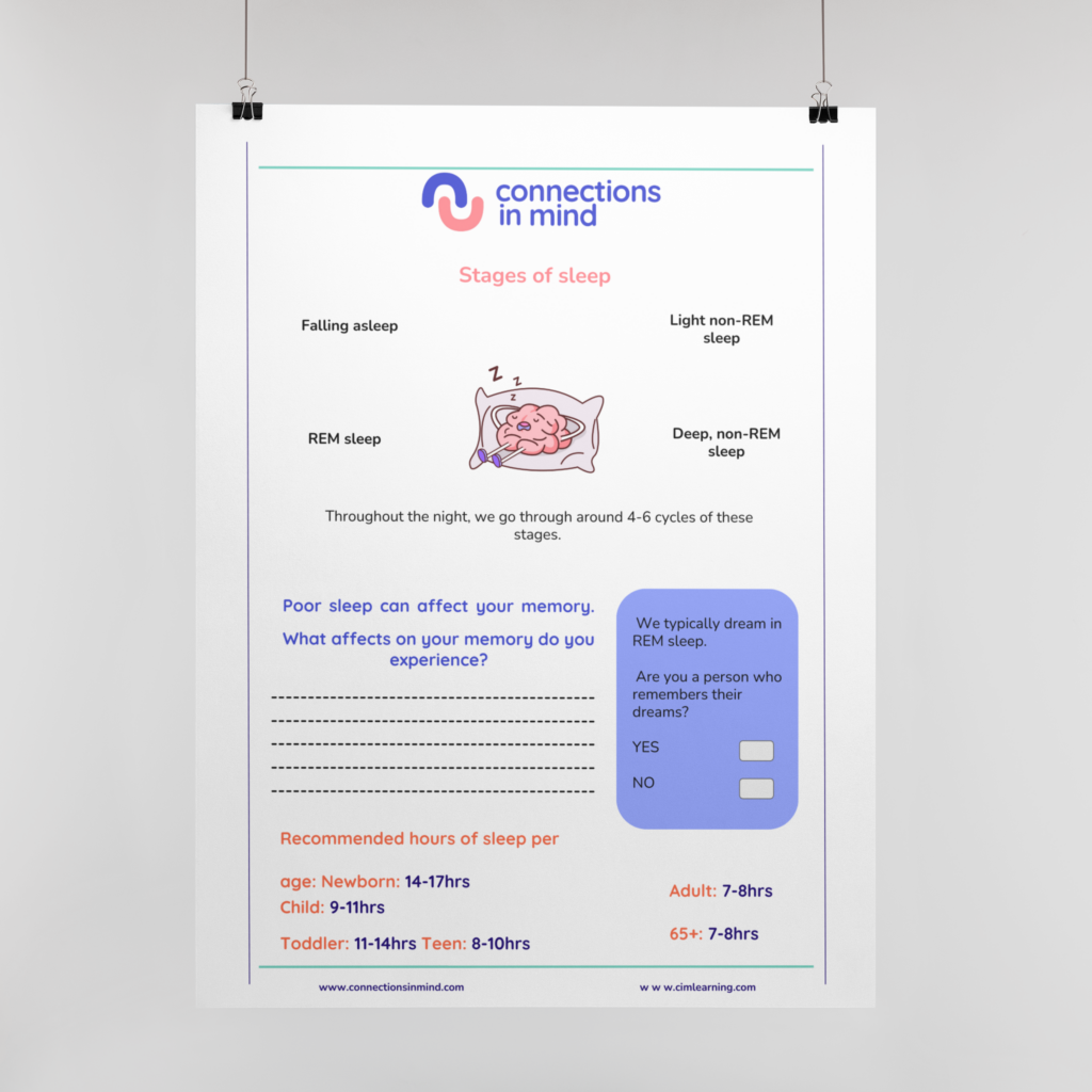 Stages of Sleep Worksheet - Brain Hub