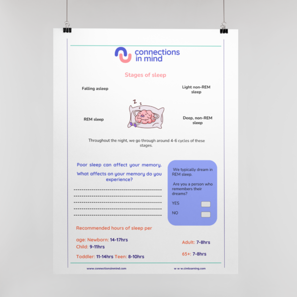Stages of Sleep Worksheet - Brain Hub