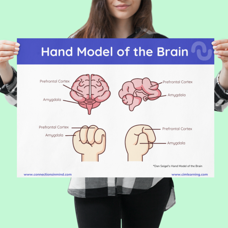 Hand Model of the Brain: Visualising Brain Function Poster - Brain Hub